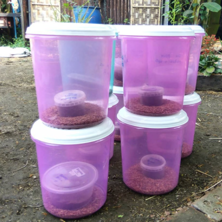 Food Waste Loop – Kokkoya Organics